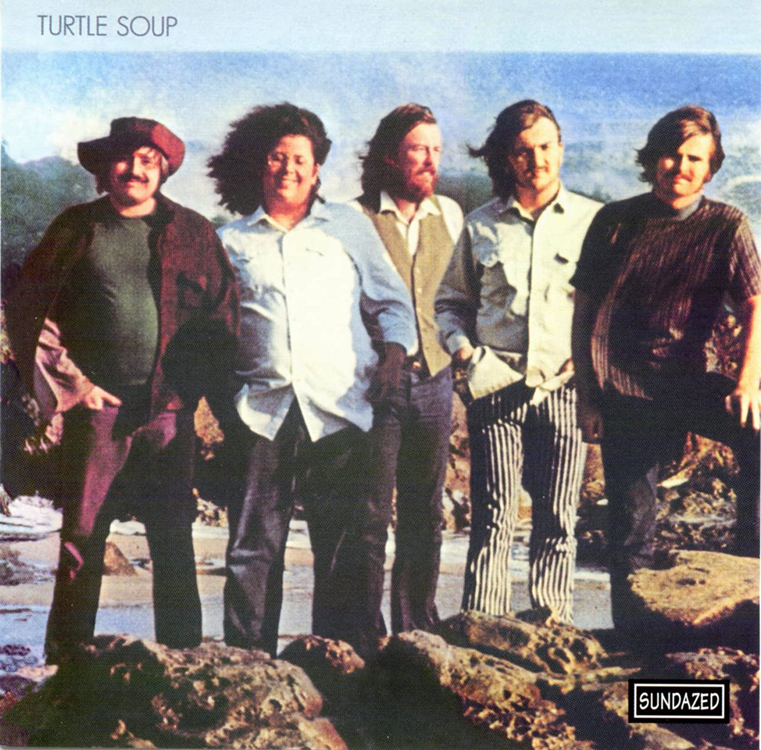 The Turtles Albums Ranked | Return of Rock