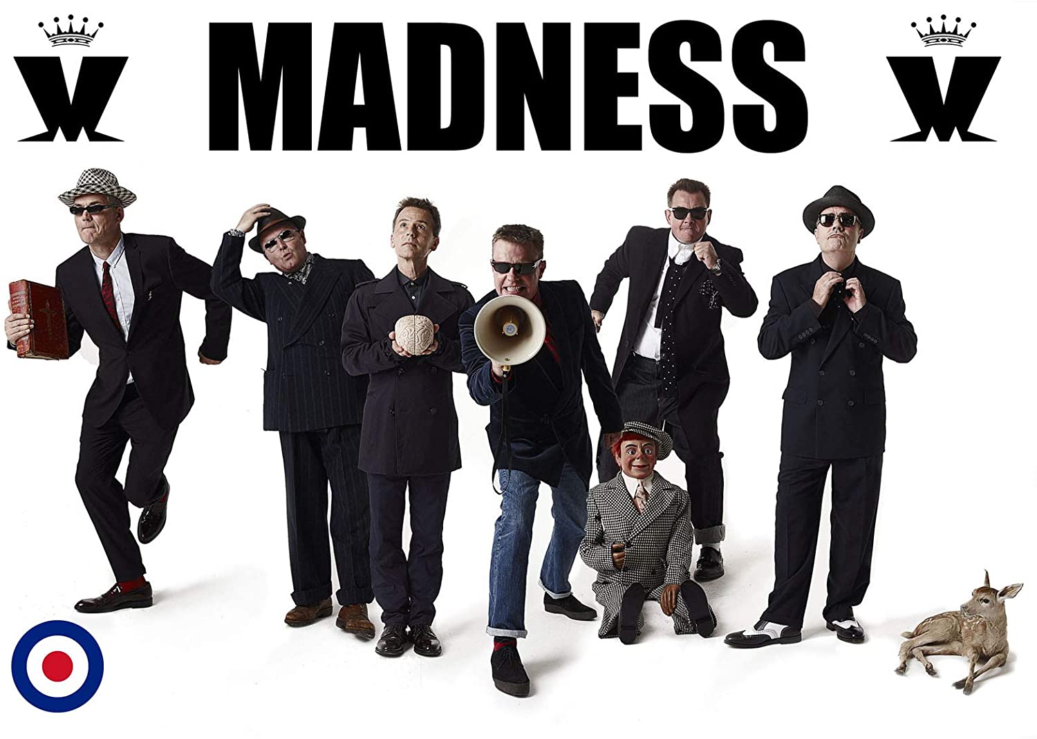 Madness Albums Ranked | Return of Rock