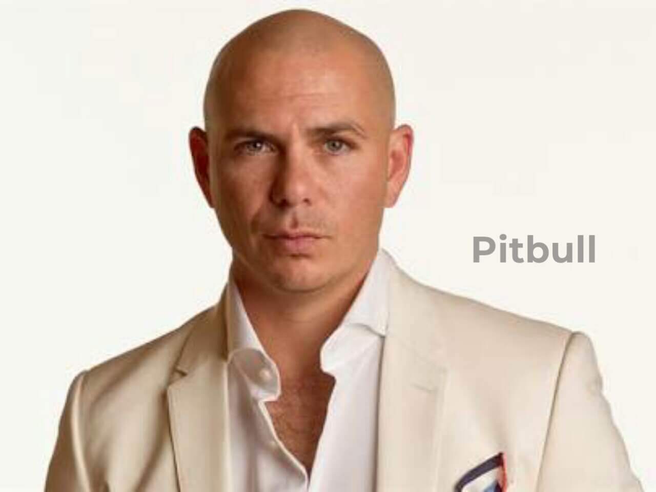 Pitbull Songs Ranked | Return of Rock