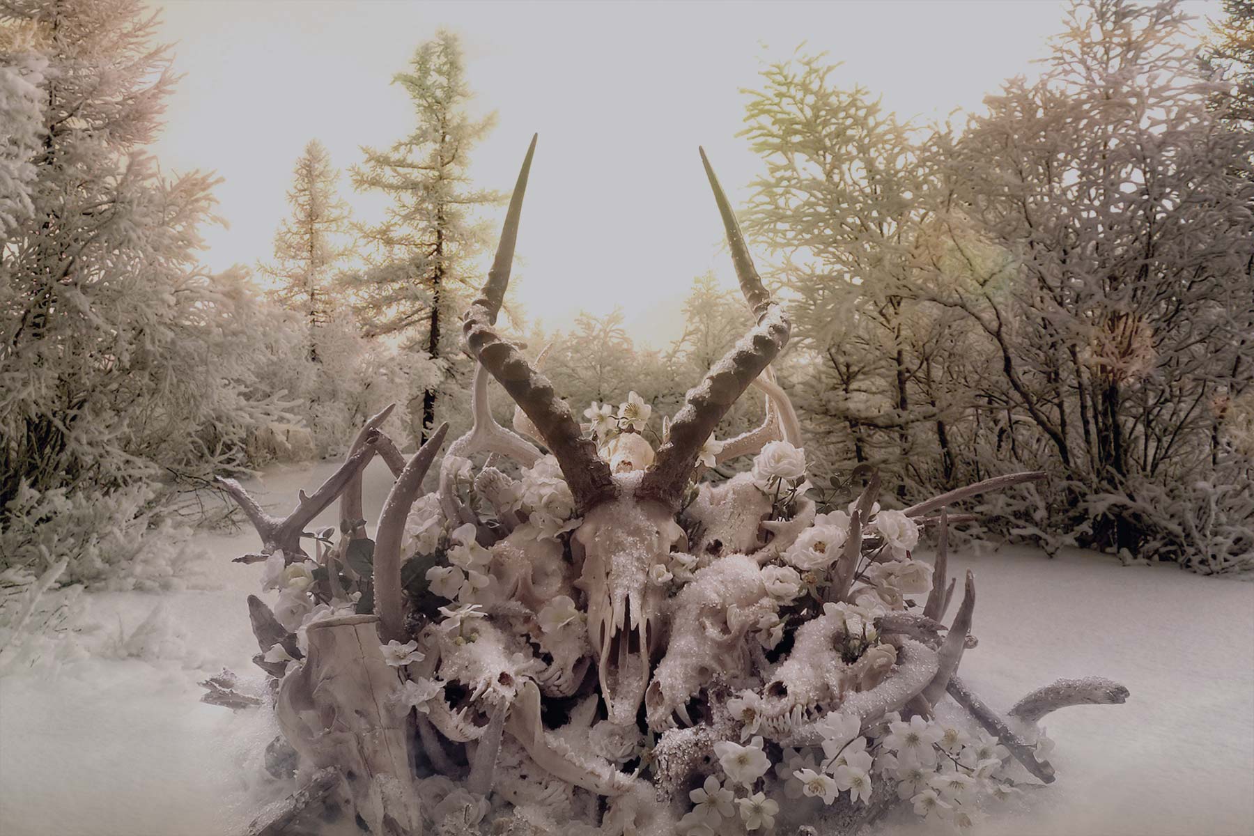 King Animal Songs Ranked | Return of Rock