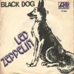 The Best Blue Rocks Songs Of All Time Ranked | Return of Rock